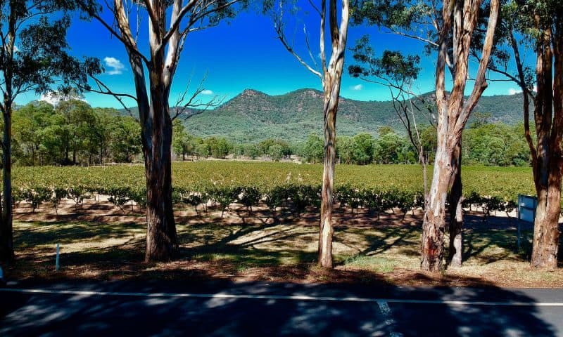 Amazing Hunter Valley Wine Tours From Sydney!