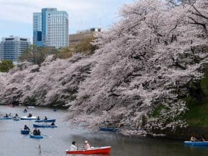 Hong Kong Vs Tokyo: Which To Visit (From a Travel Expert)